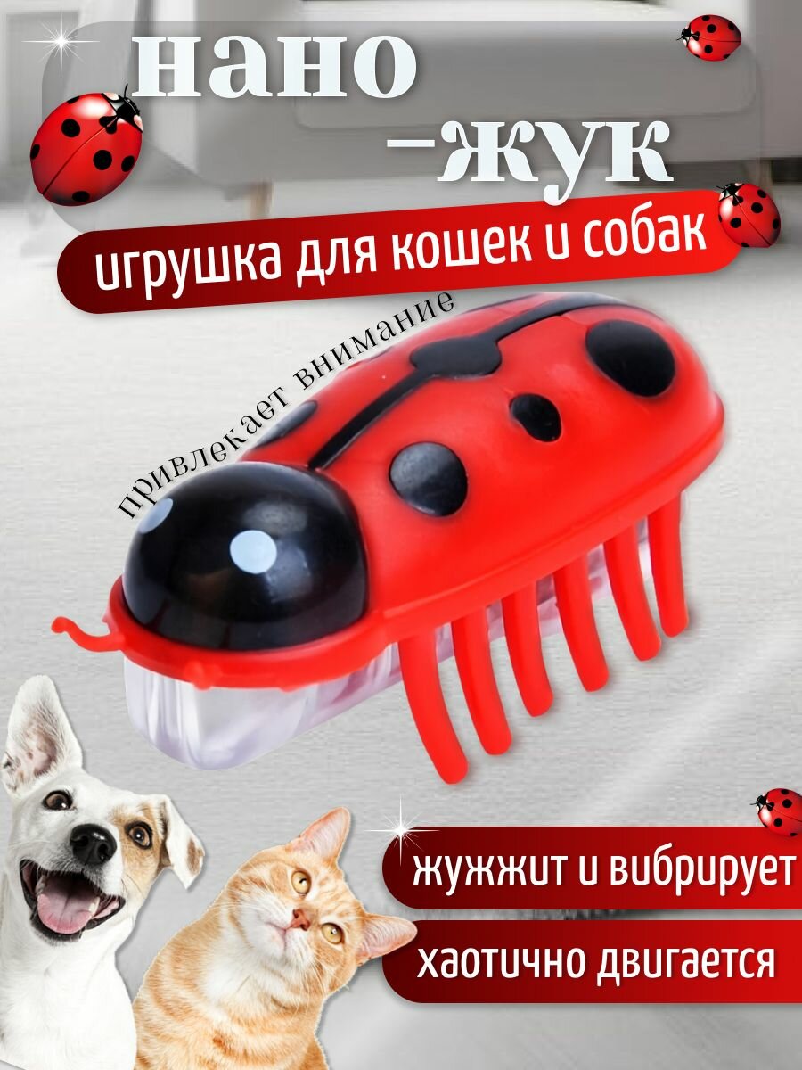 Интерактивная игрушка дразнилка для кошек и котов "Робот Нано-жук". Развивающая игра для собак. Электронная автоматическая игрушка для животных. Развлечение для котенка с вибрацией и звуком