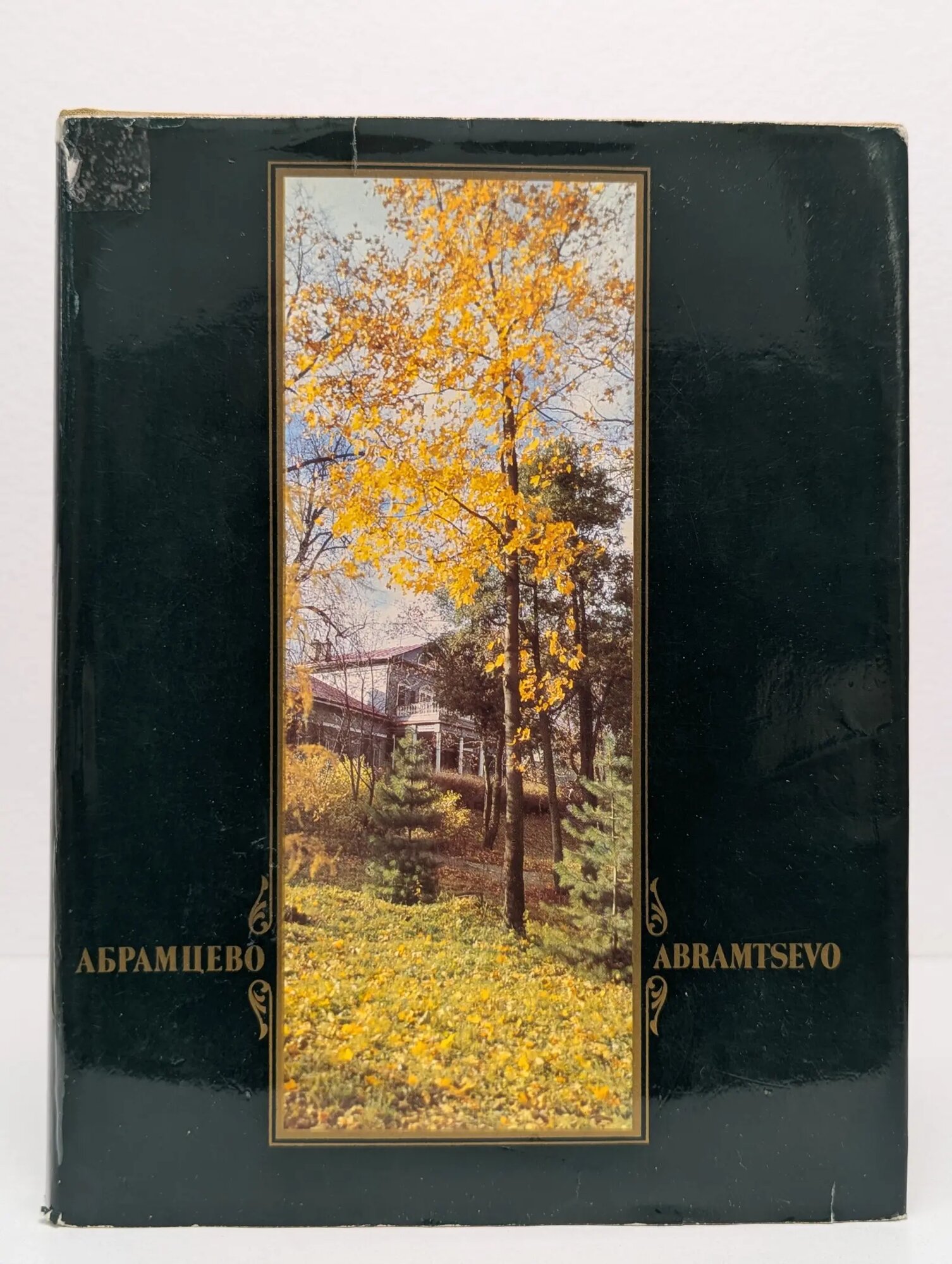 Абрамцево Белоглазова Нина Мартыновна 1981