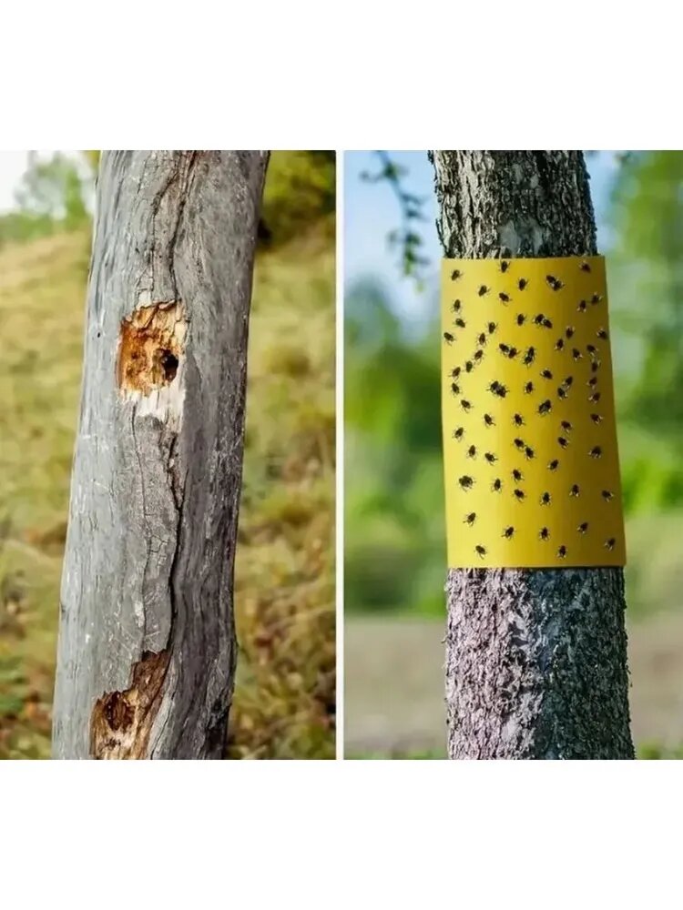 Сито садовоех10