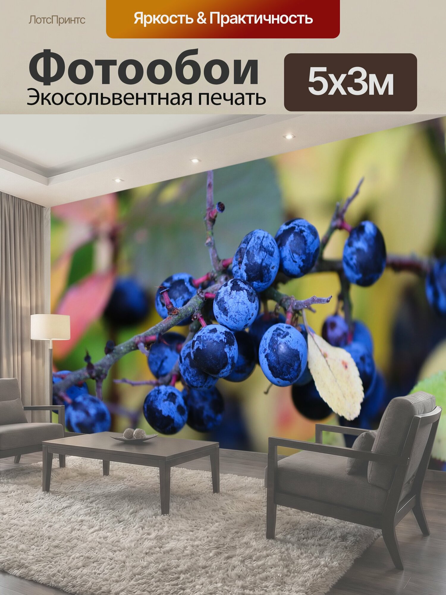 Фотообои "Ягоды, терн, prunus spinosa" 500x300 см. экосольвентная печать