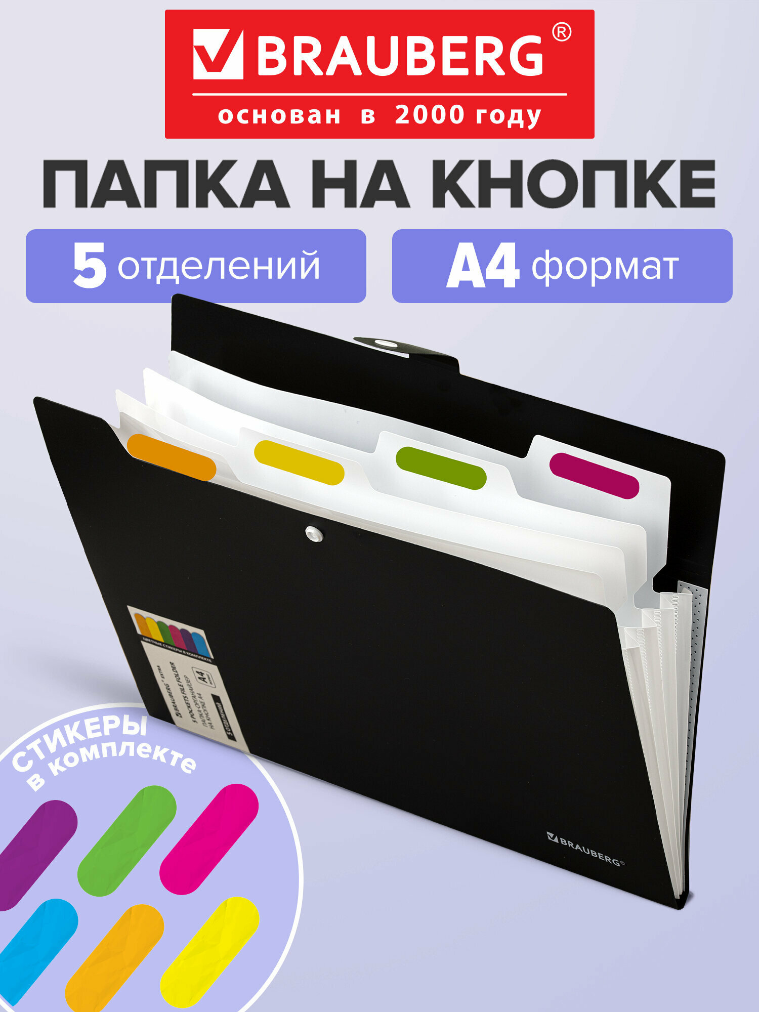 Папка для документов А4 канцелярская на кнопке, органайзер для бумаг 5 отделений, Brauberg Extra, 274094