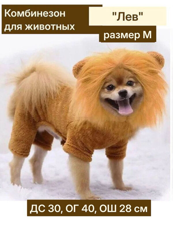 Комбинезон для животных "Лев", размер M (ДС 30, ОГ 40, ОШ 28 см), коричневый