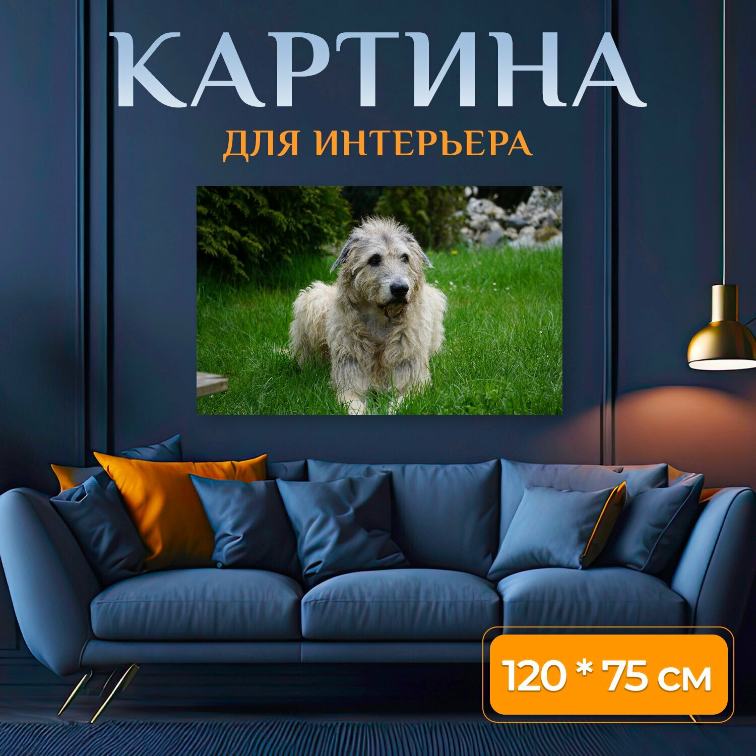 Картина на холсте "Ирландский волкодав, собака, нежный гигант" на подрамнике 120х75 см. для интерьера