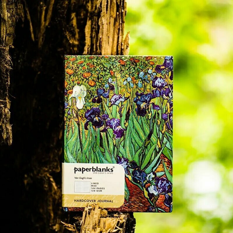 Paperblanks Блокнот A5+, листов: 176