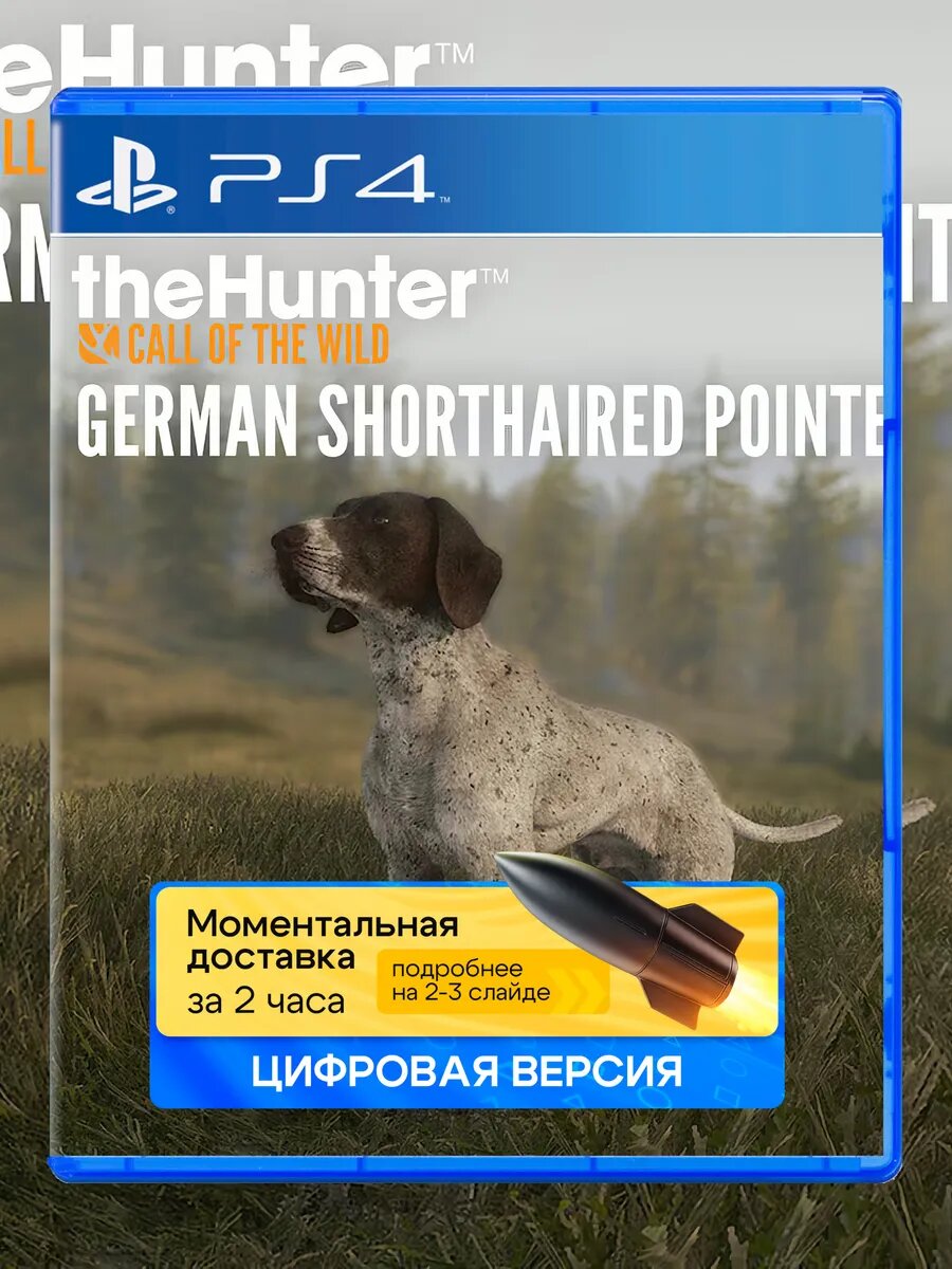 Дополнение theHunter - German Shorthaired Pointer для Sony PlayStation PS4 PS5