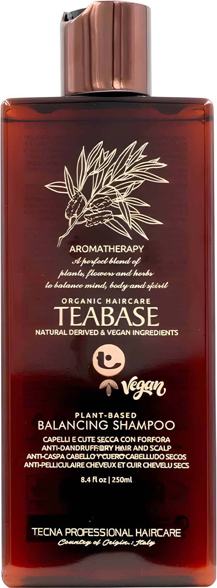 Tecna Professional Hair Care Шампунь для жирной кожи головы Teabase Teabase Balancing Shampoo 500g