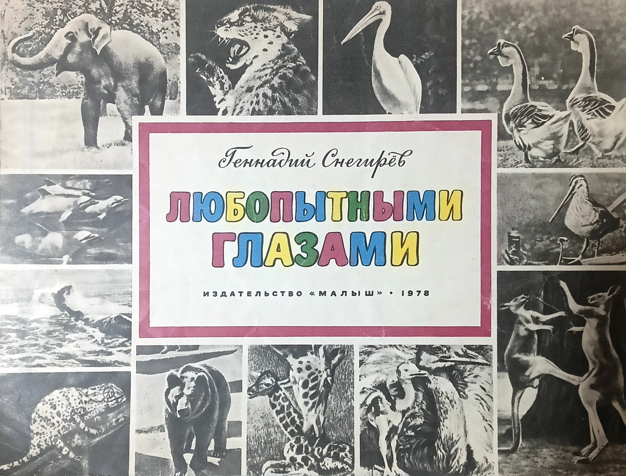 Любопытными глазами. 1978 год