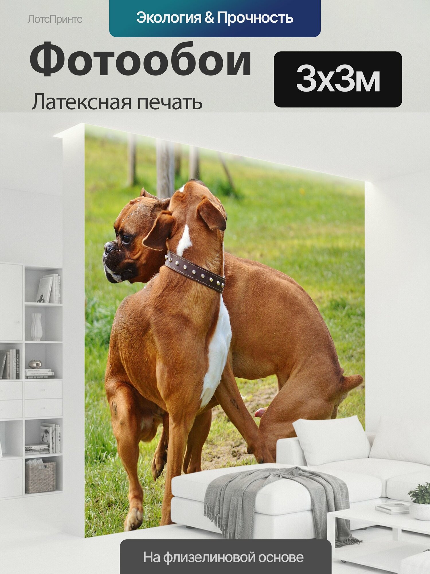 Фотообои моющиеся ударопрочные "Боксеры, собаки, хороший aiderbichl" 300x300 см. латексная печать