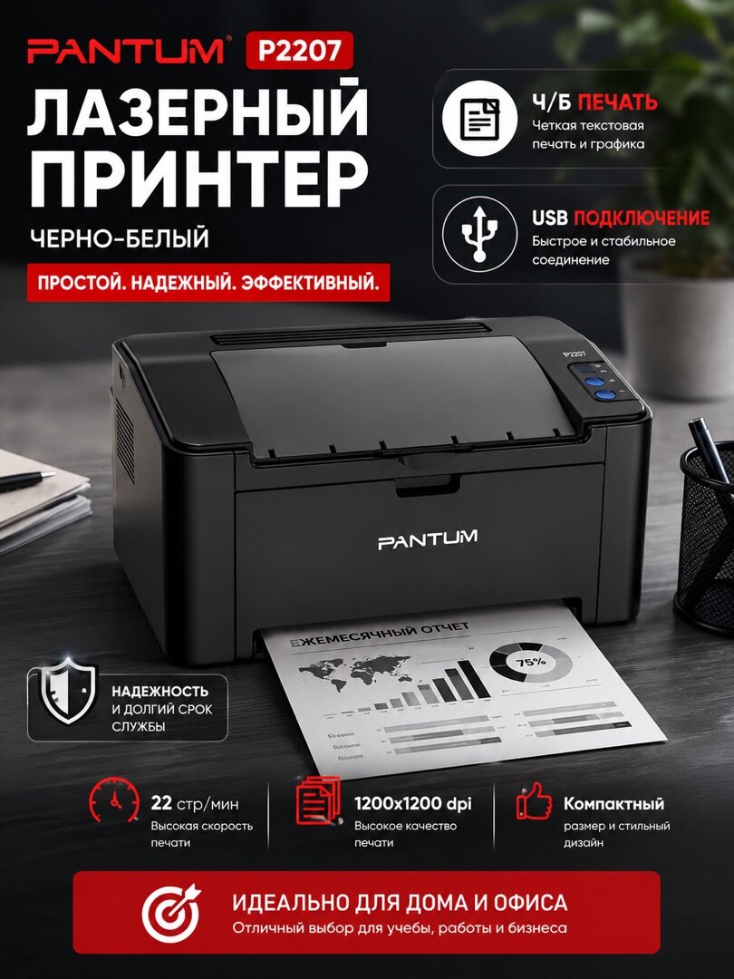 Принтер лазерный черно-белый Pantum P2207, USB, для дома и офиса, черный