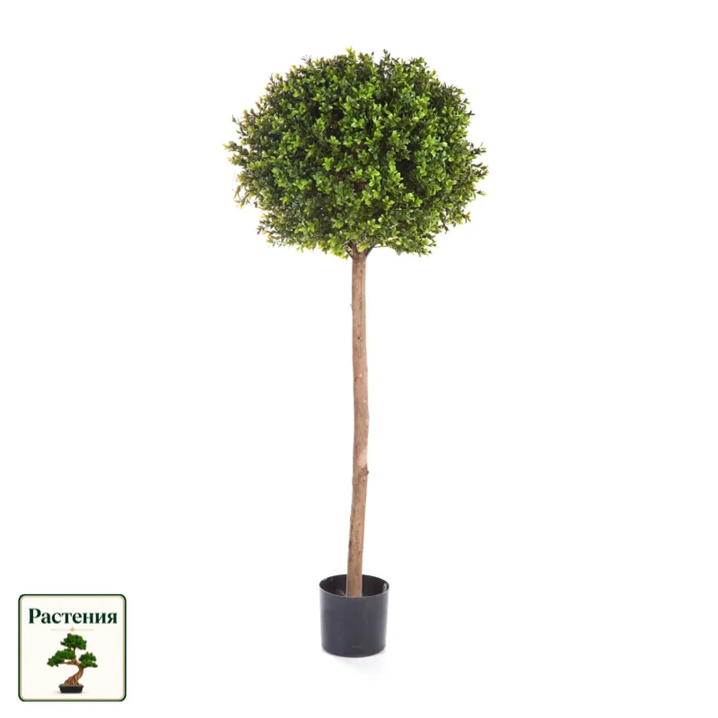 Самшит Шар искусственный уличный на высоком стволе 40 х 105 TREEZ Collection, зеленый, ствол из натурального дерева
