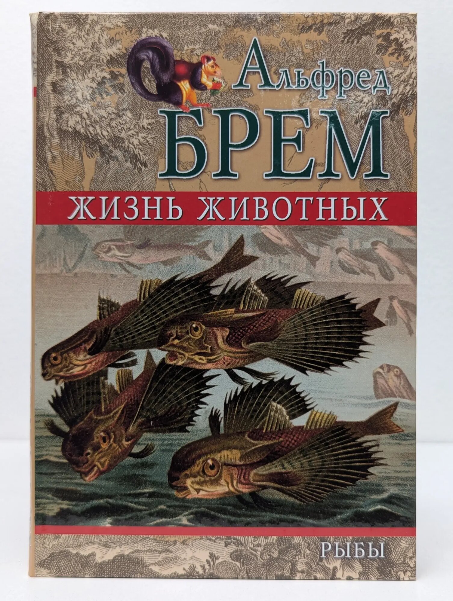 Жизнь животных. Том 1. Рыбы Брем Альфред Эдмунд 2008