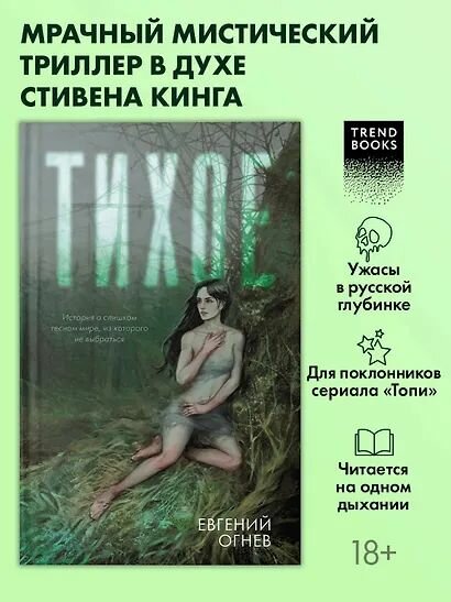 Огнев Евгений: Тихое Издательство Clever 2026, Твердый переплет