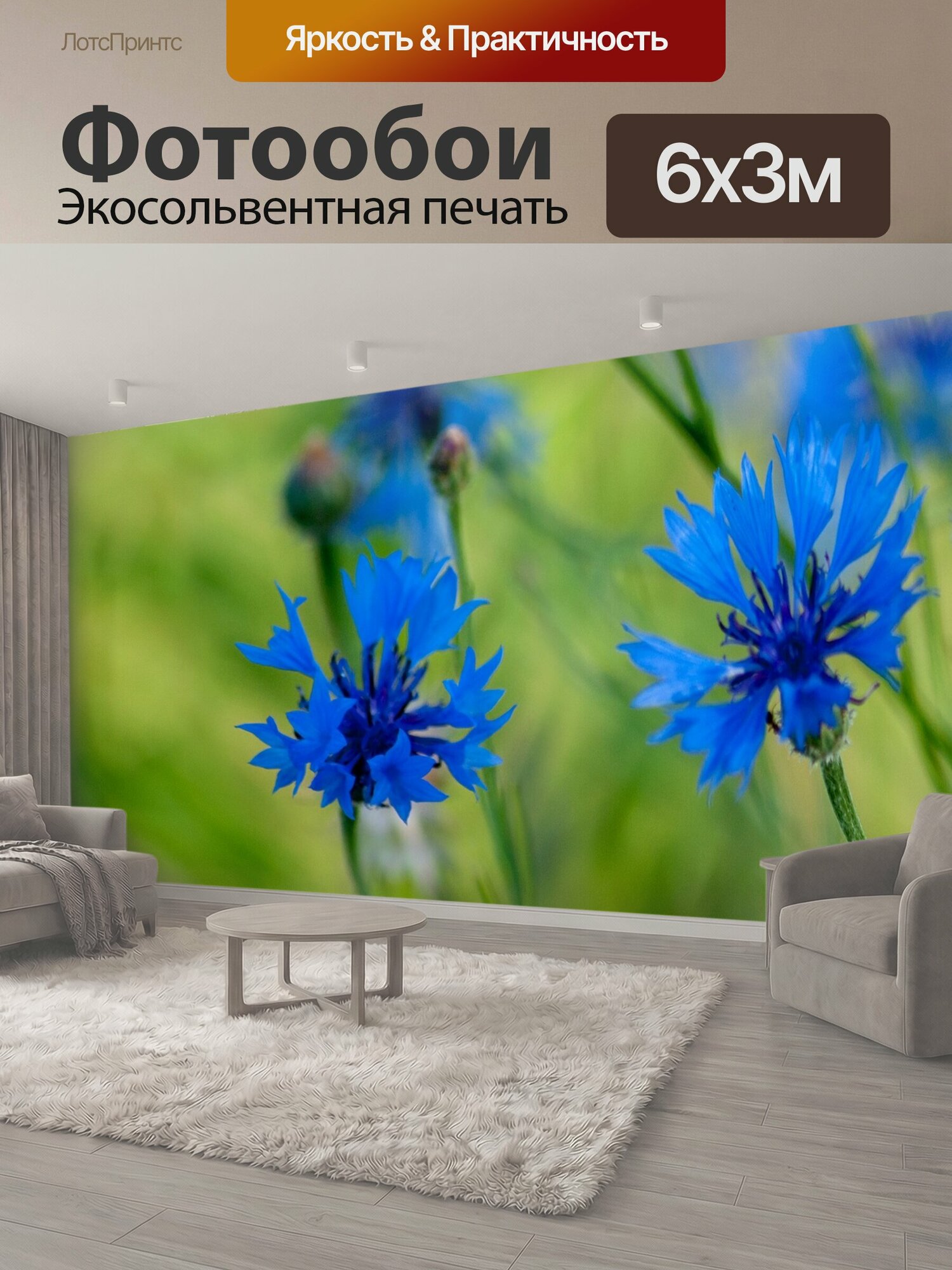 Фотообои "Васильки, цветы, васильковый" 600x300 см. экосольвентная печать