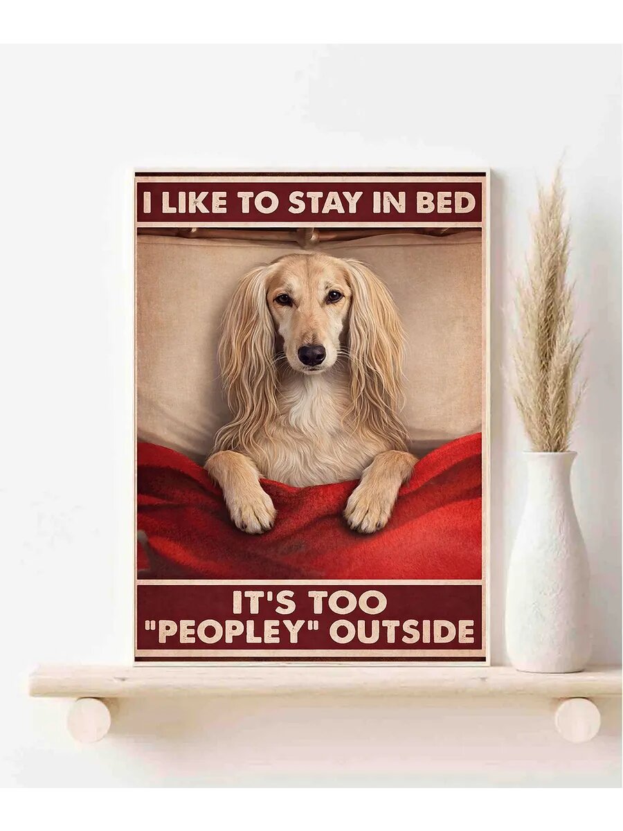Салюки, Stay In Bed, Плакат 30x42см