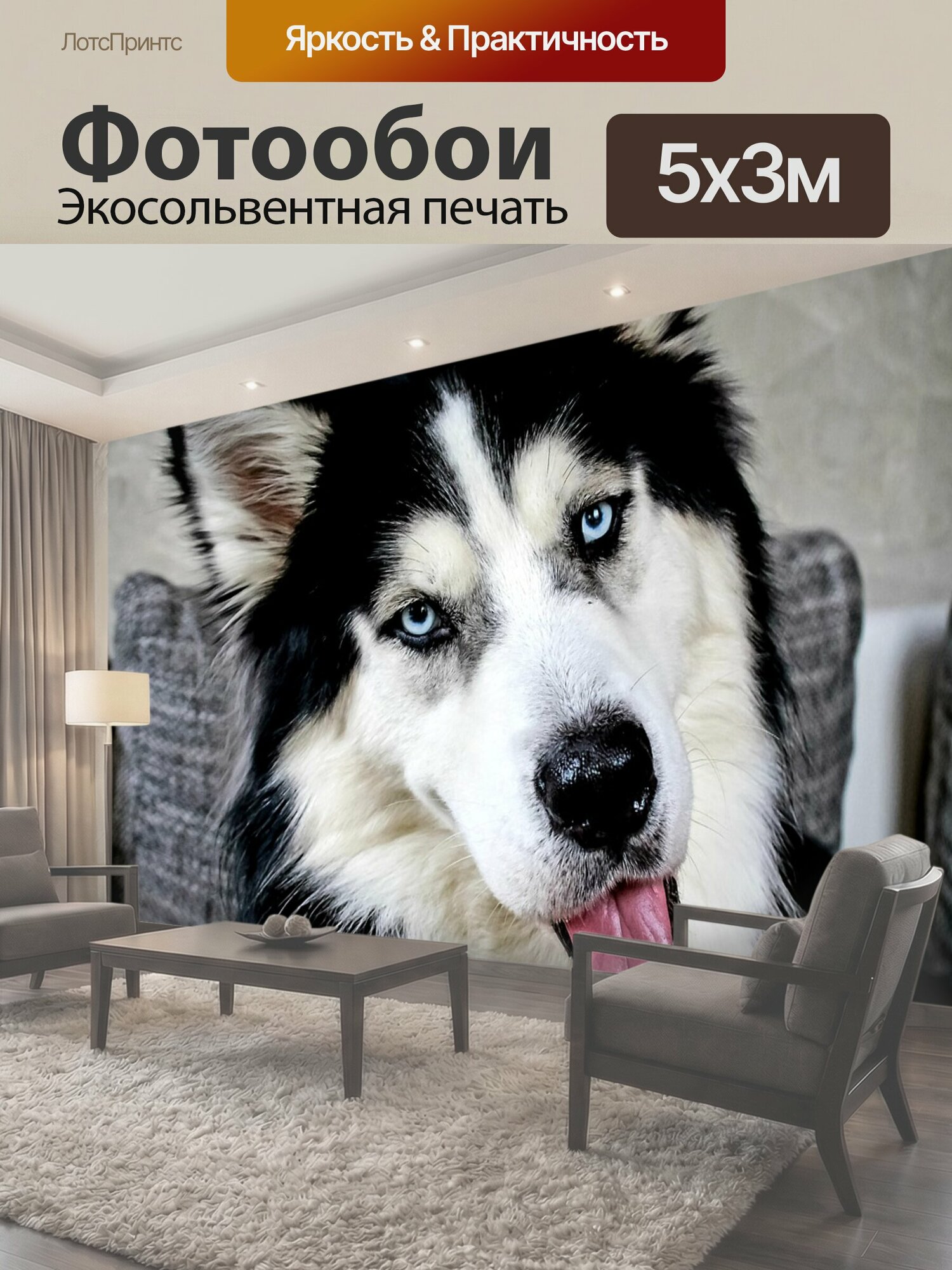 Фотообои "Собака, хаски, сибирский хаски" 500x300 см. экосольвентная печать