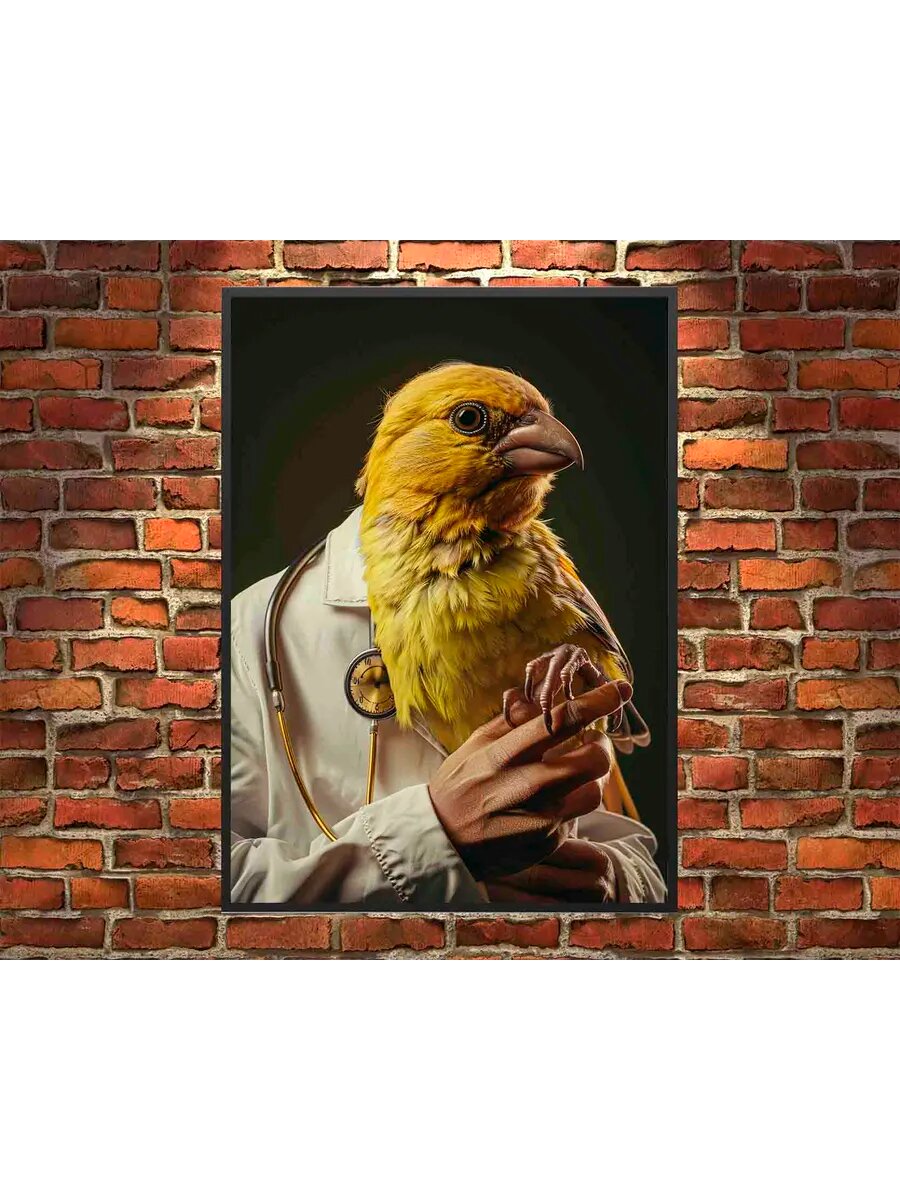 Птичий доктор зяблик 4, Плакат 30x42см