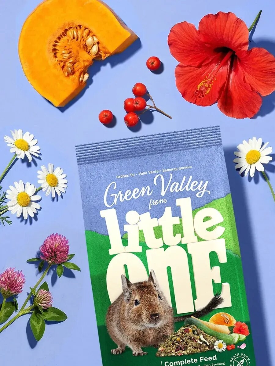 Корм Little One "Green Valley" Зеленая долина для дегу, полный рацион с витаминами, 750г х 4 штуки