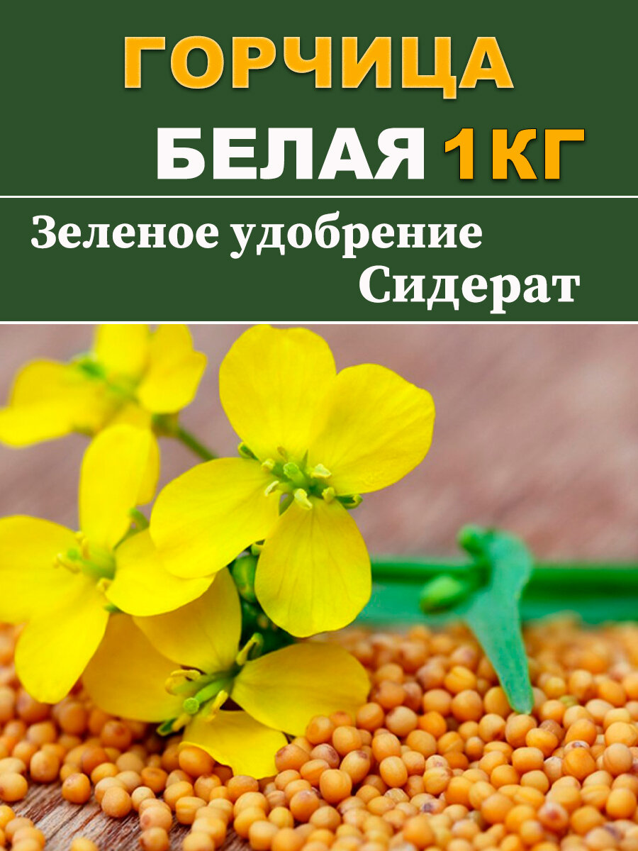 Горчица белая семена PLANTIT / сидерат / зеленое органическое удобрение, 1 кг