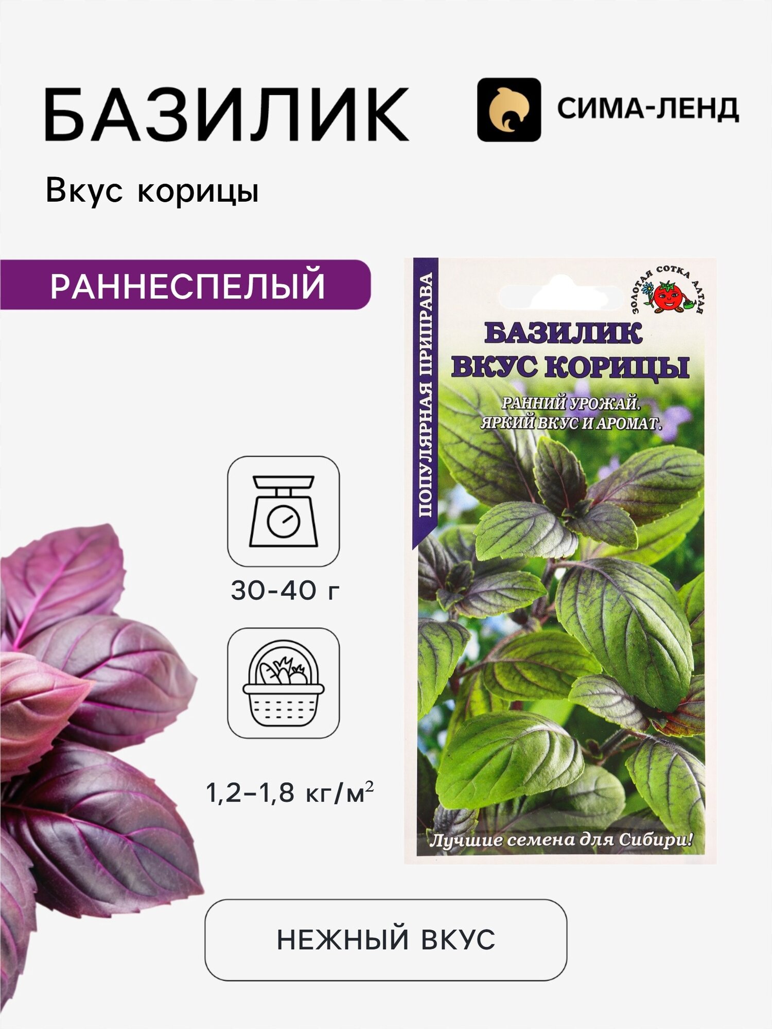 Семена Базилик «Вкус Корицы», 0.3 г, раннеспелый, зелёный с фиолетовыми прожилками, «Золотая Сотка Алтая»