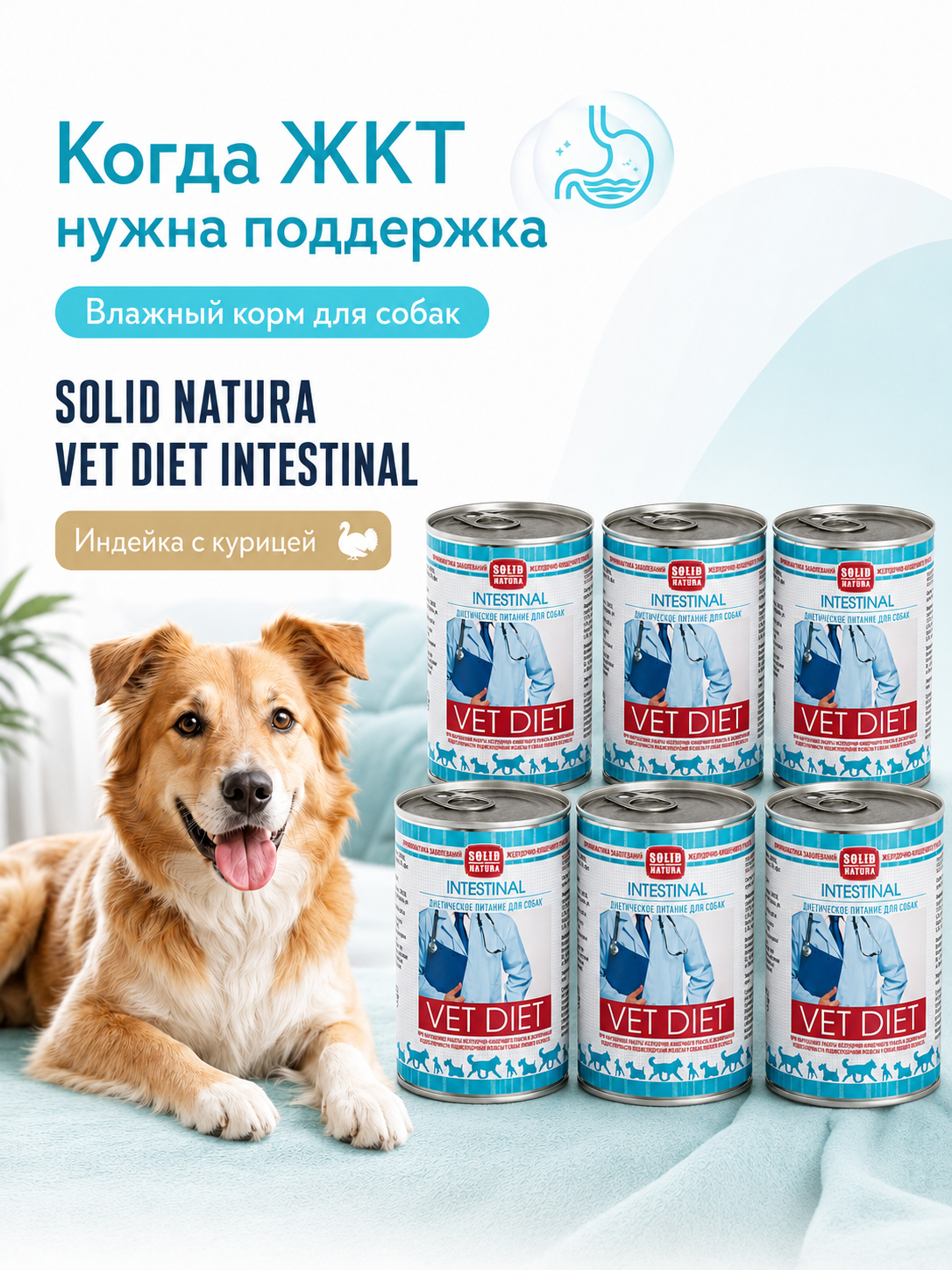 Влажный корм для собак Solid Natura VET Intestinal при проблемах с пищеварением, с птицей, упаковка 6 шт х 340 г