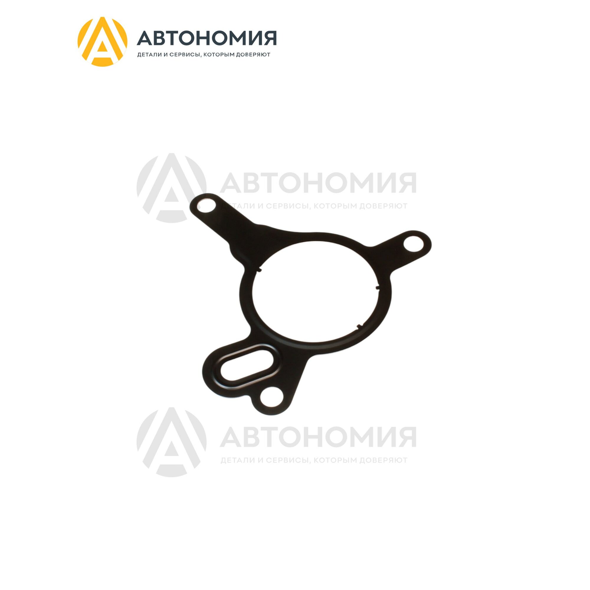 Прокладка корпуса вакуумного насоса Volvo 31430547