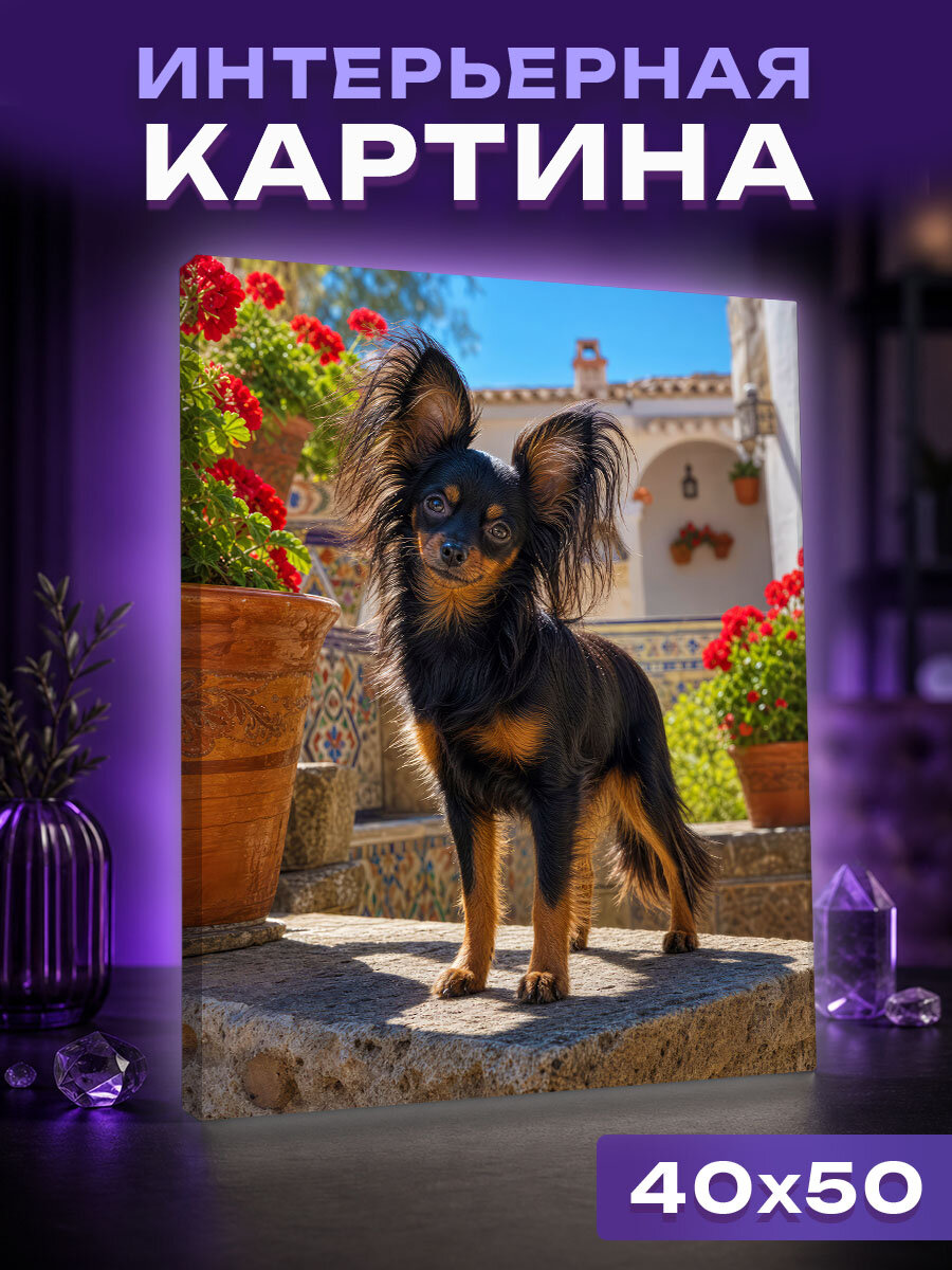 Интерьерная картина Той-терьер в андалусском дворике