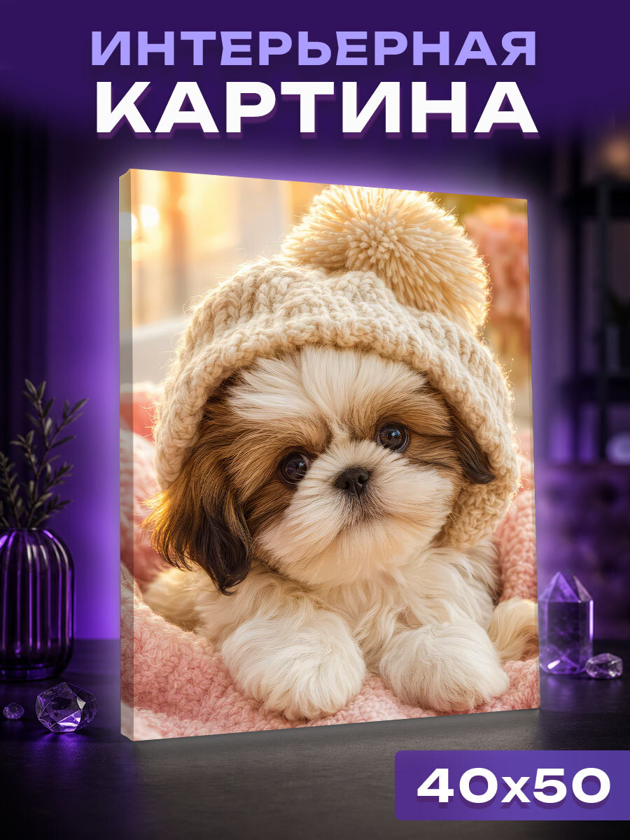 Интерьерная картина Пушистый щенок ши-тцу в вязаной шапке