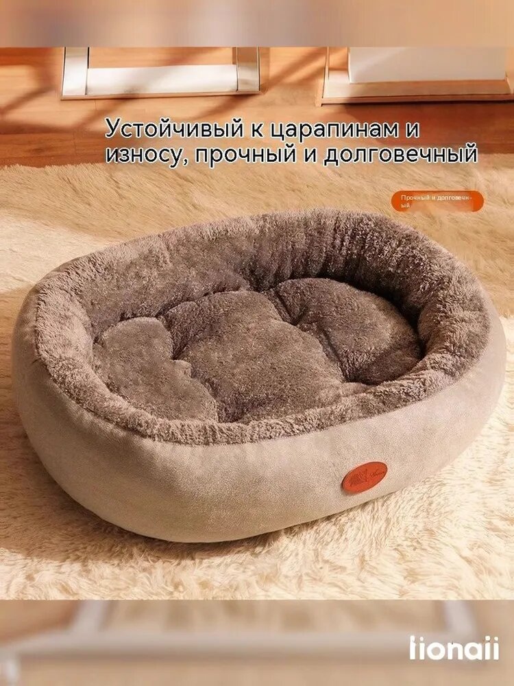 Маленькая собачка