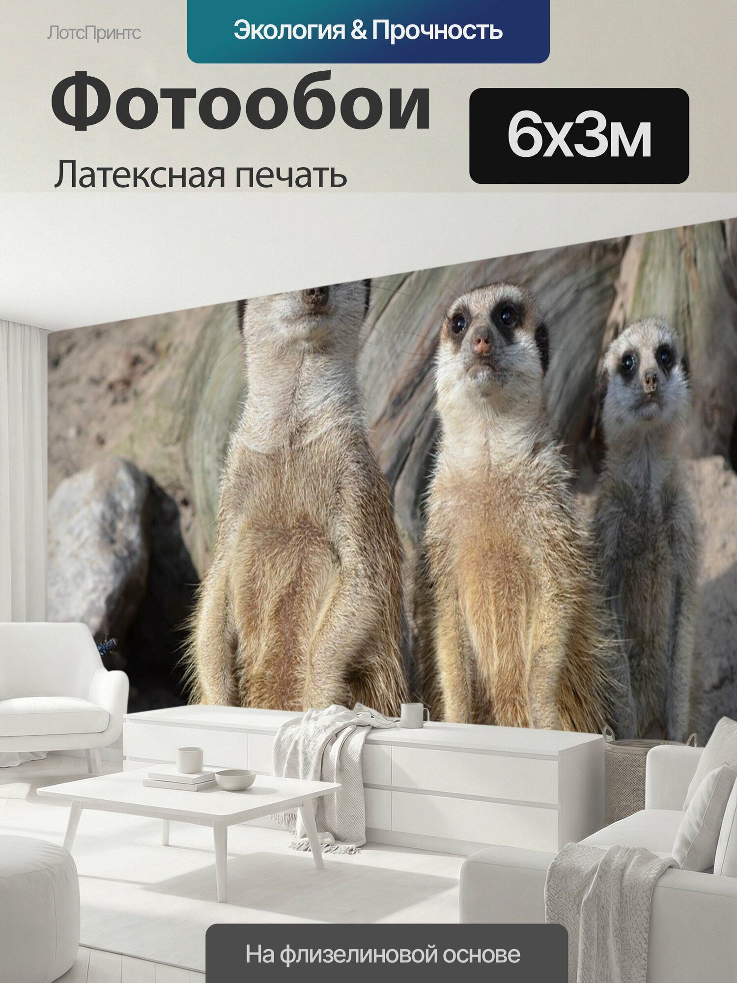 Фотообои моющиеся ударопрочные "Сурикат, зоопарк, милый" 600x300 см. латексная печать