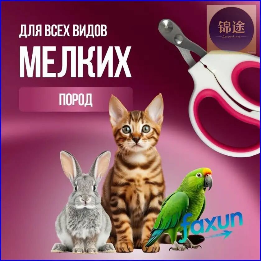 Когти, премиум — фото 1