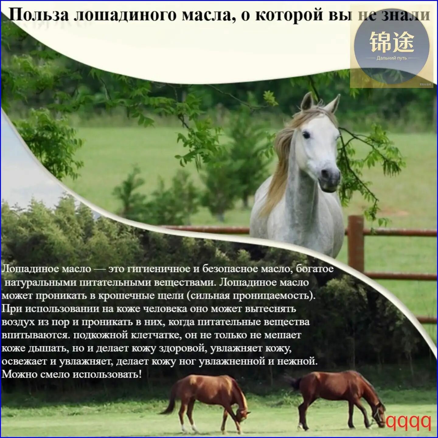 Крем премиум для кожи — фото 1