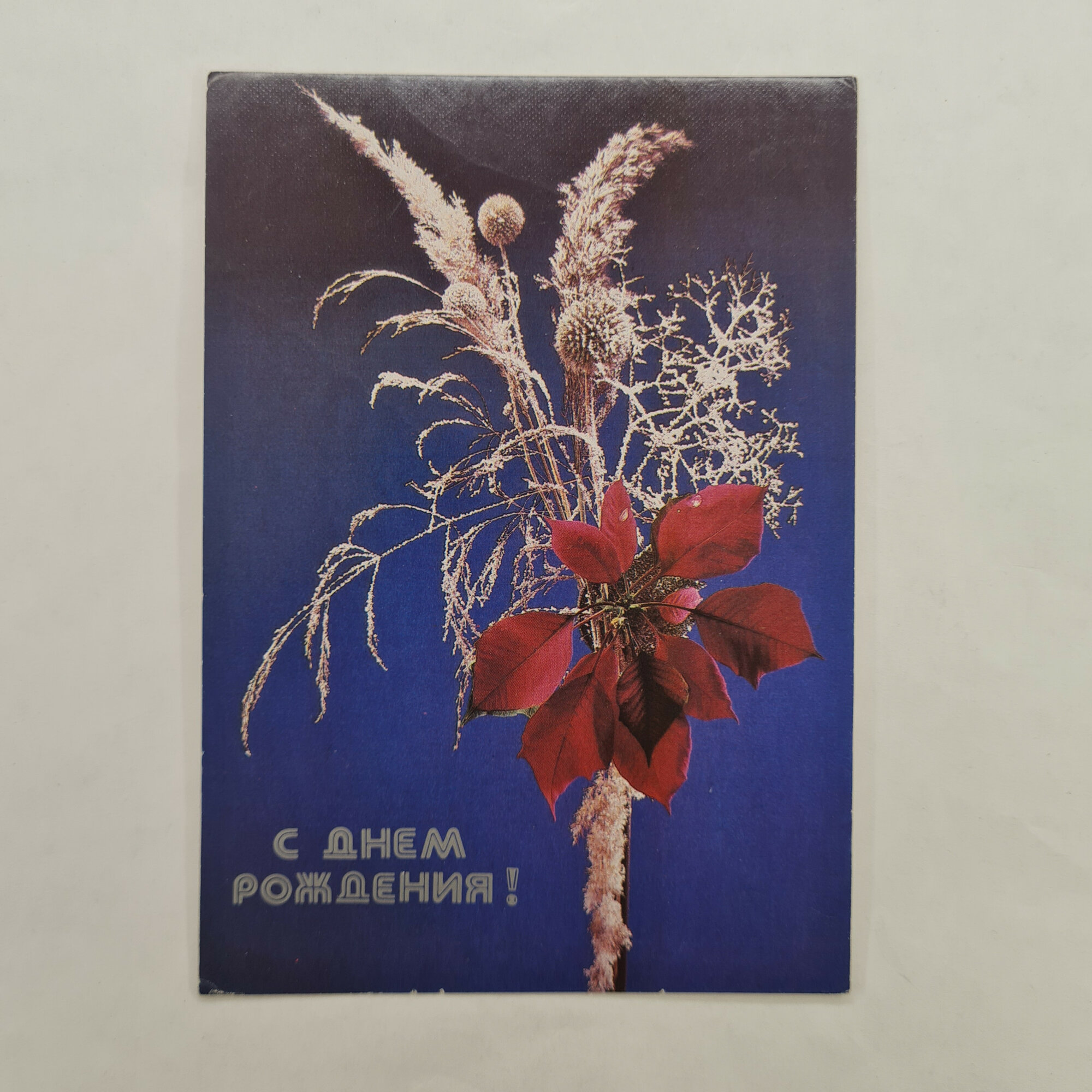 Открытка советская СССР. С днем рождения, цветочная композиция с листьями и сухоцветами. Винтаж