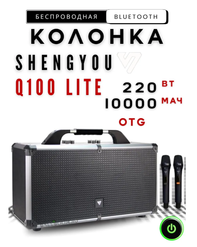 Колонка SHENGYOU Q100 LITE 220 Вт, портативная акустика с 2 микрофонами