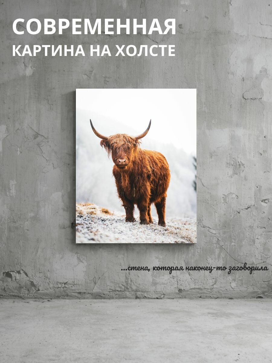 Картина на холсте Пастбище/як 50x70 см