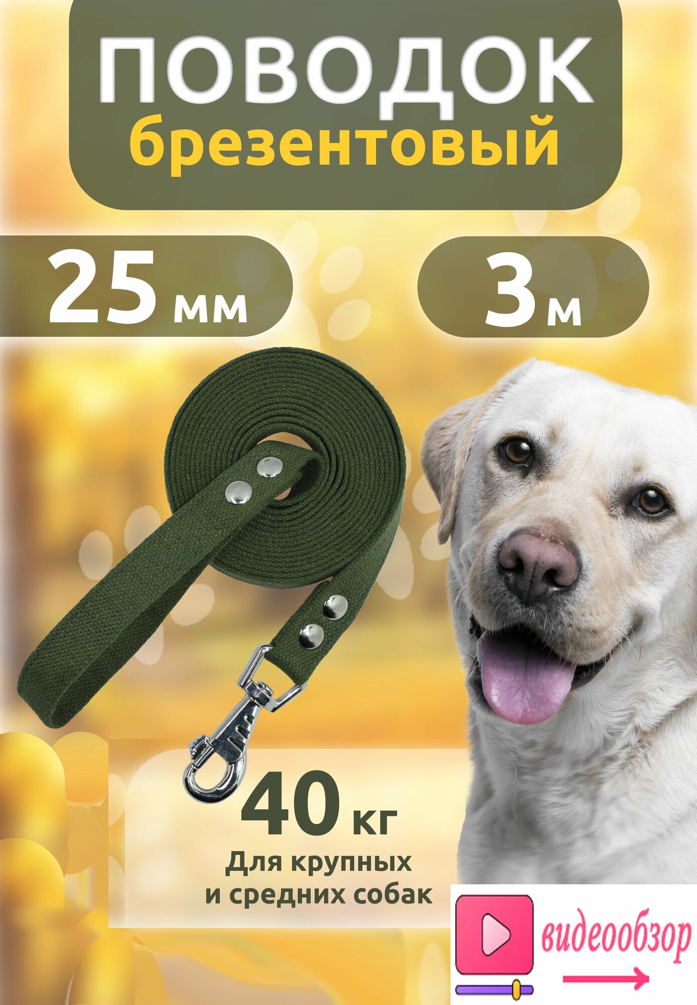 Поводок для собак брезентовый, для средних и крупных пород 25мм*3м (до 40кг)
