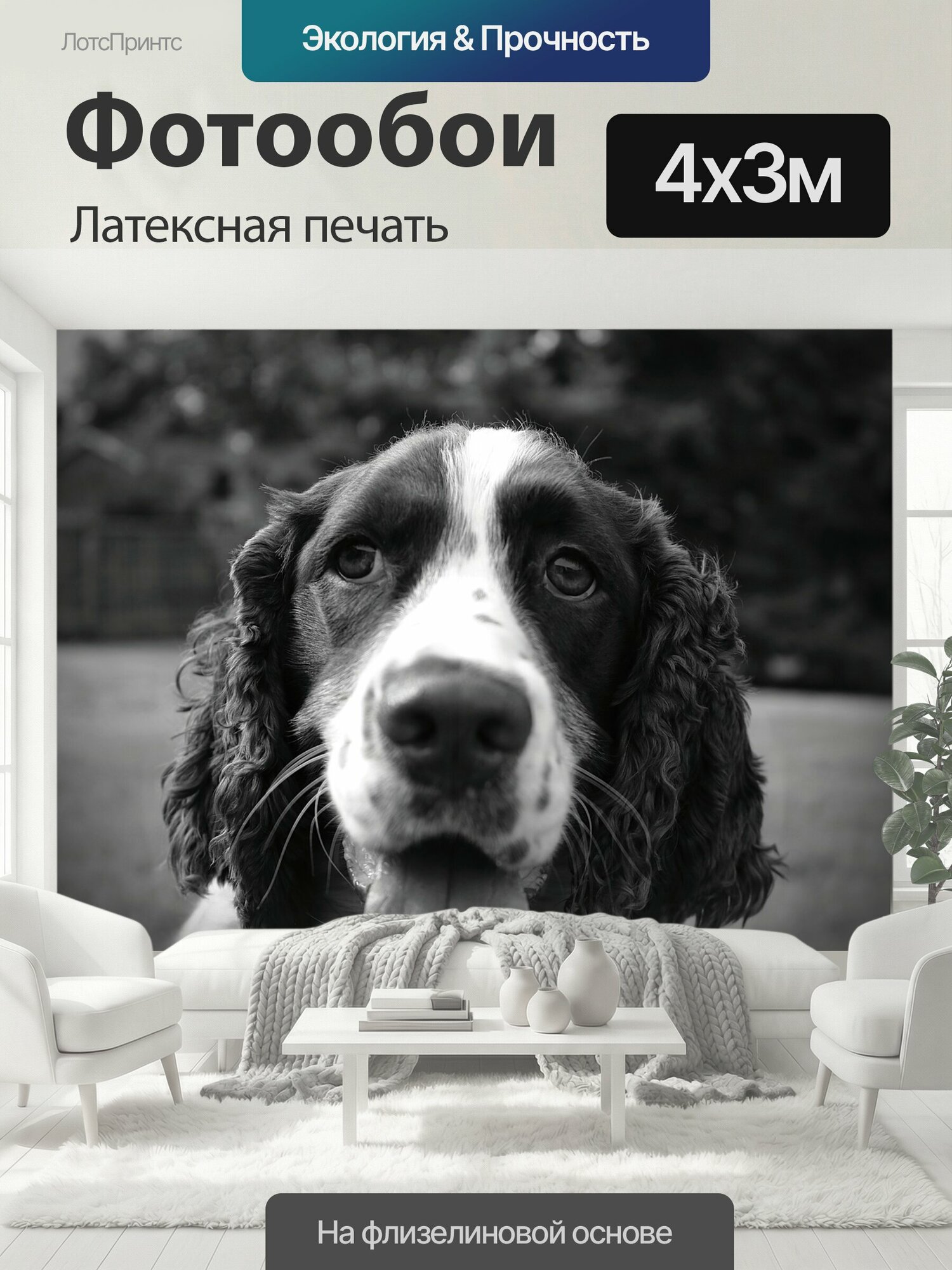Фотообои моющиеся ударопрочные "Спаниель, английский, собака" 400x300 см. латексная печать