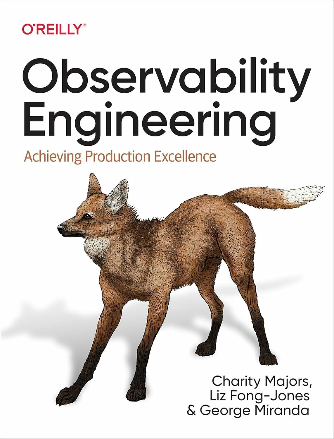Observability Engineering: Achieving Production Excellence Reprinted books