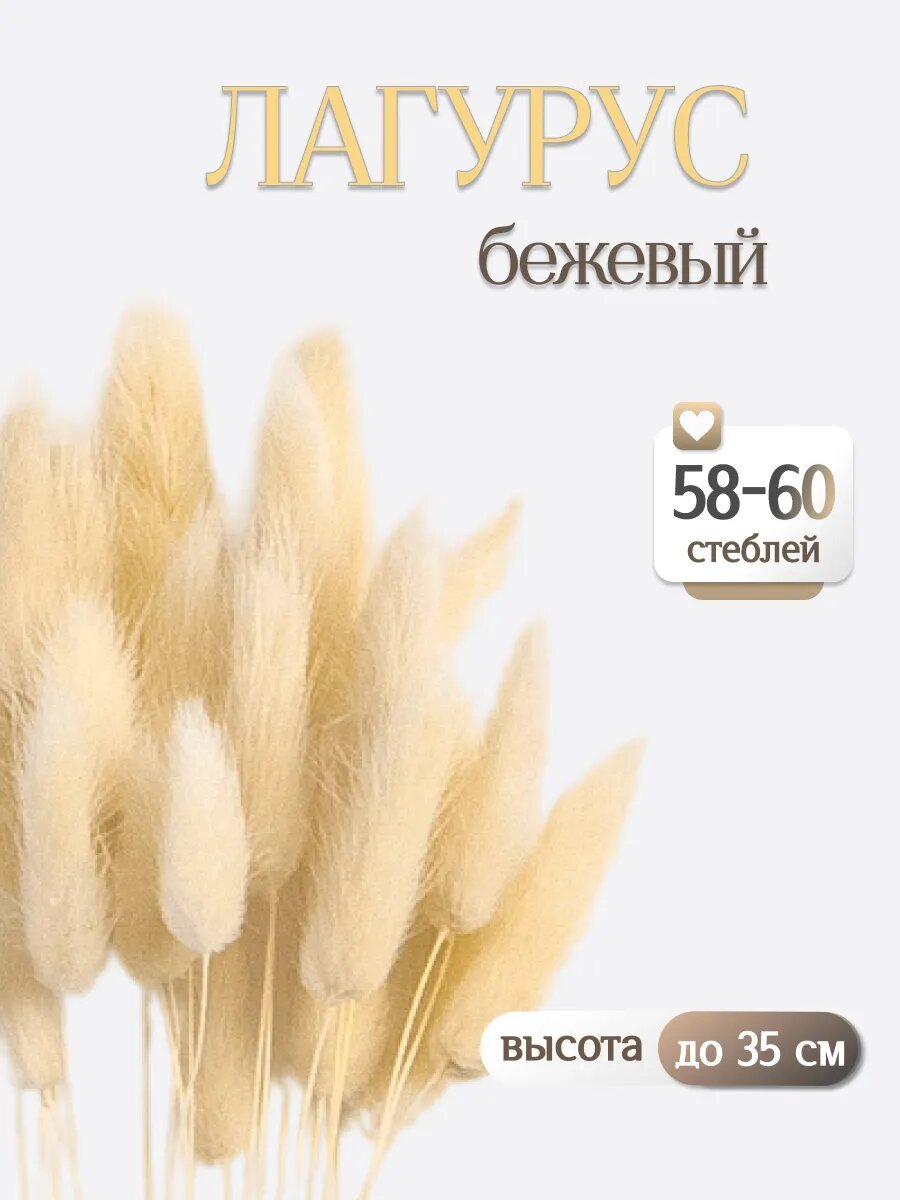 Лагурус сухоцвет бежевый 60 штук, натуральные сухоцветы для декора Elka.bio до 35 см