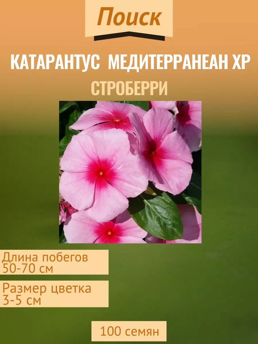 Катарантус амп. Медитерранеан ИксПи Строберри 1 уп -100 сем