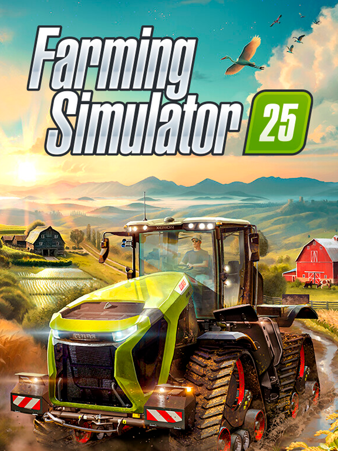 Farming Simulator 25, РФ и СНГ