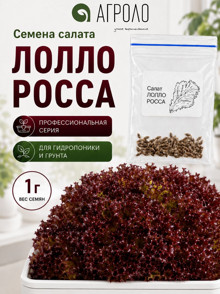 Семена салата Лолло Росса агроло профессиональные для гидропоники и грунта, листовой салат для дома и дачи