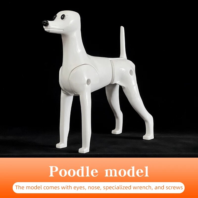 Манекен-скелет пуделя для груминга RUICHONG White Poodle Model
