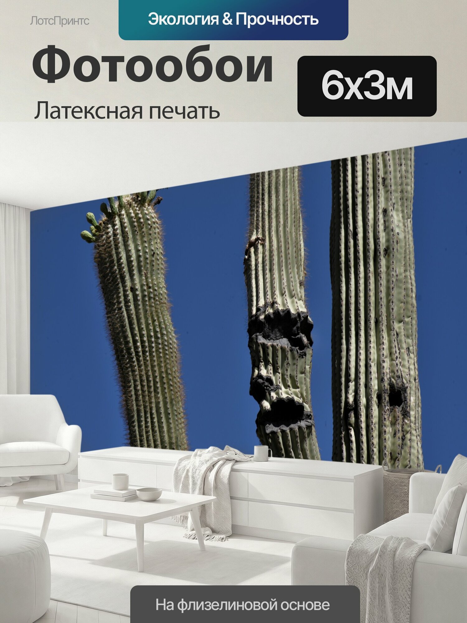 Фотообои моющиеся ударопрочные "Saguaro Face Сагуаро кактус в пустыне Аризоны сагуаро кактус лицо юмористический вырез естественный настоящий." 600x300 см. латексная печать