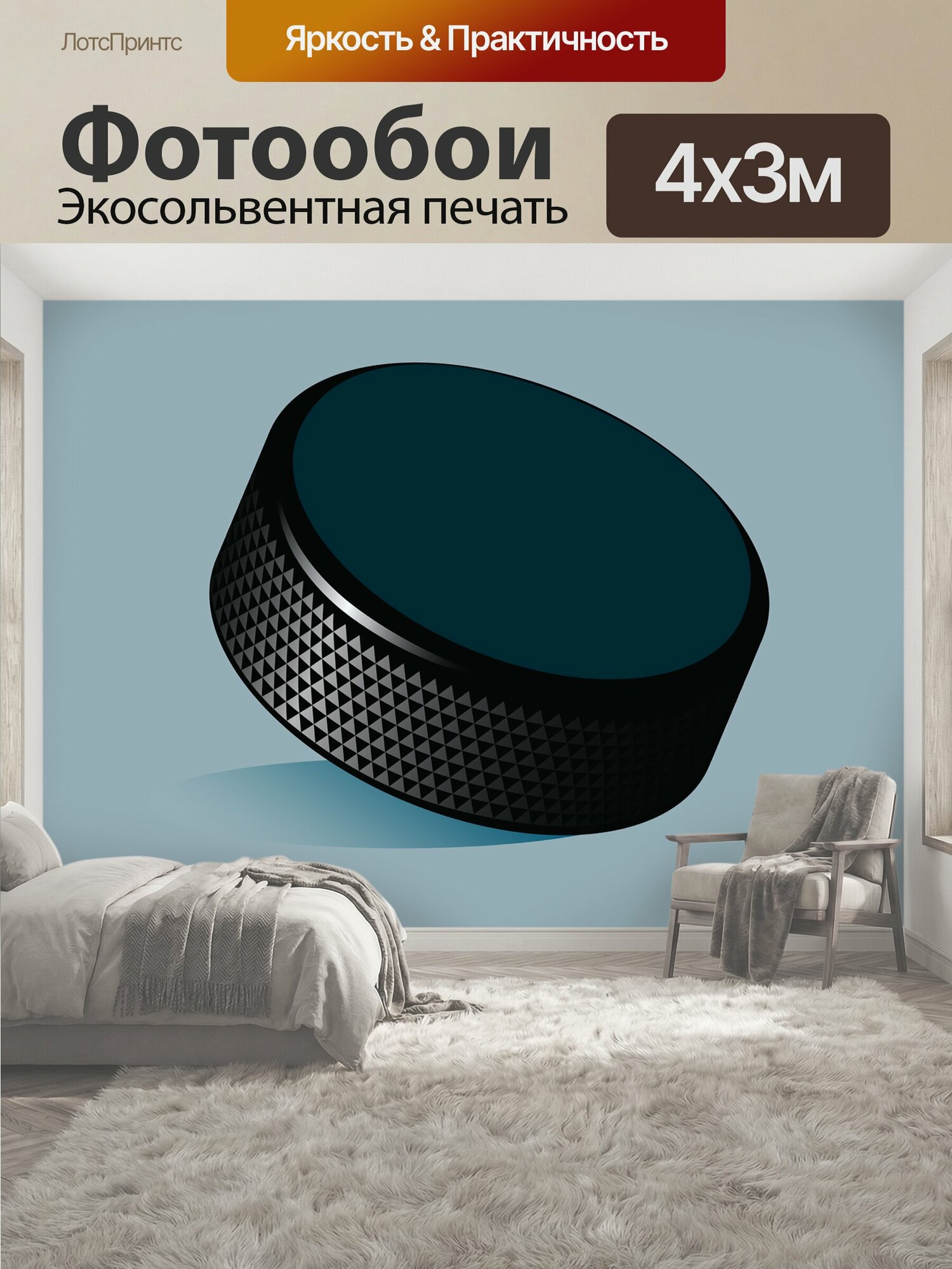 Фотообои "Хоккейная шайба, спорт, хоккей" 400x300 см. экосольвентная печать