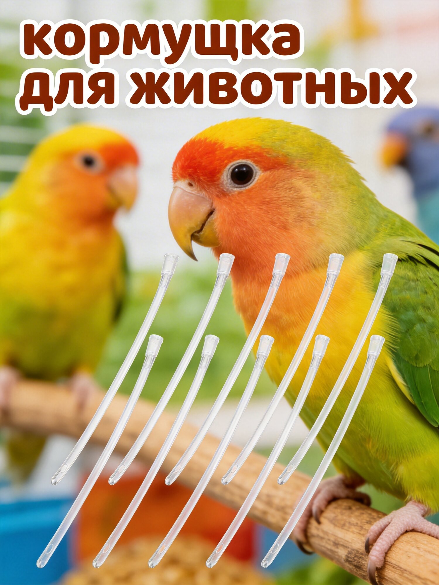 Прозрачный Шприц Для Кормления Попугаев 10 Штук Мягкая Трубка Безопасные Материалы 12 80X0 60X0 60CM