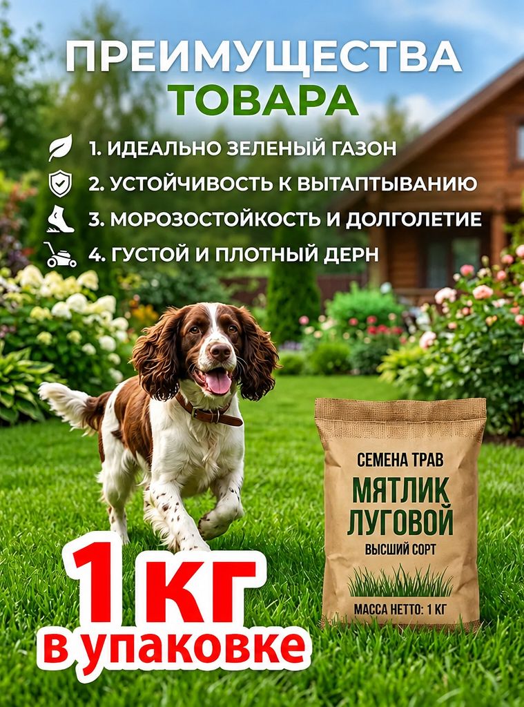 Мятлик луговой семена для газона 1 кг