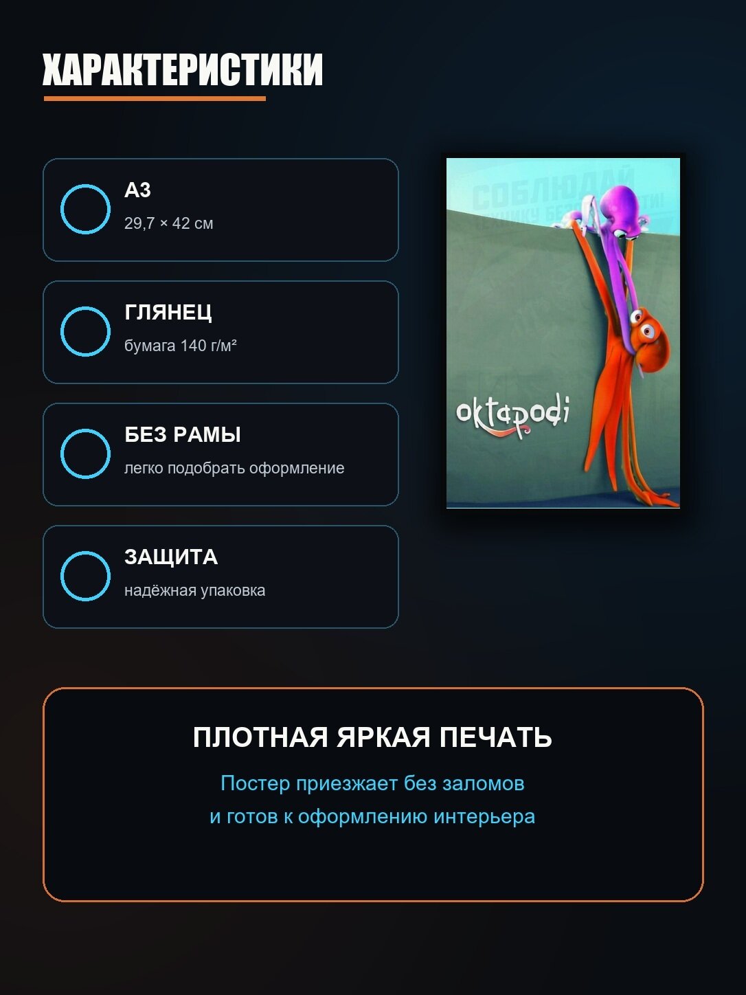 Постер Осьминожки — фото 1