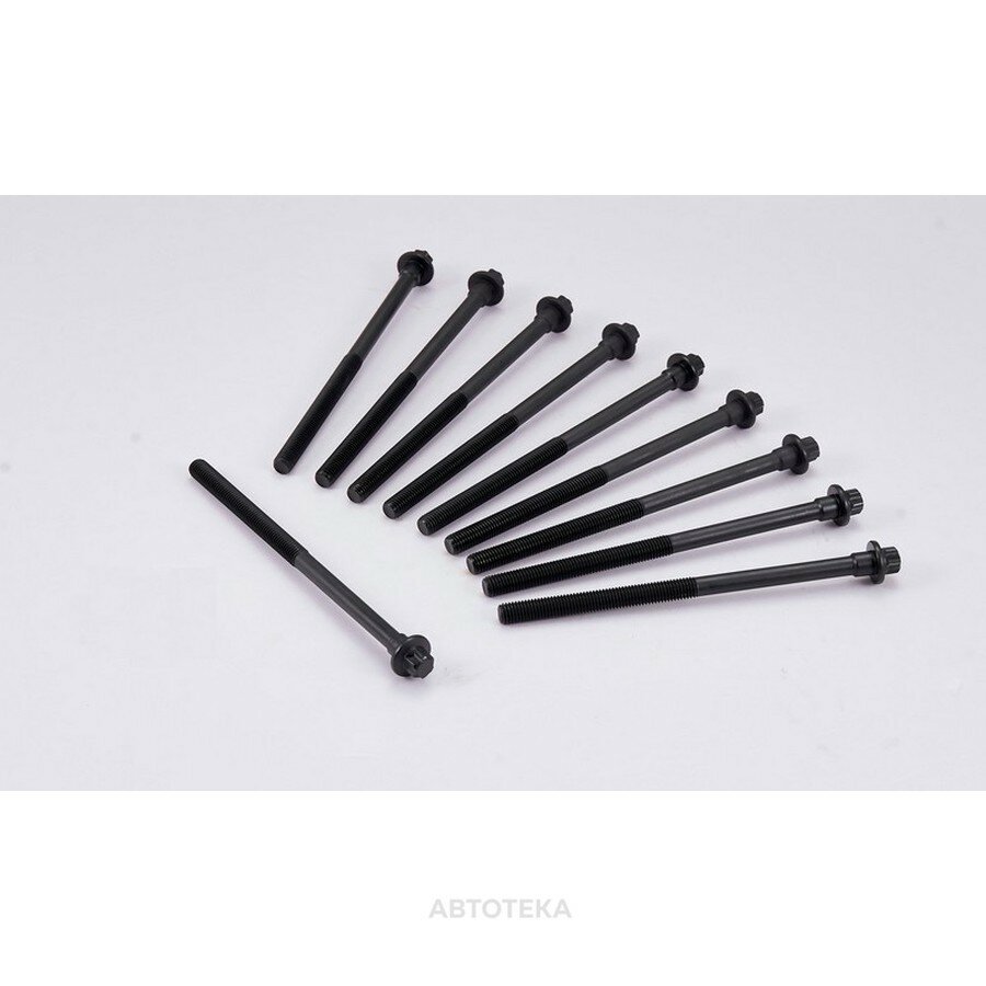 Комплект болтов ГБЦ ABSEL CT019002K