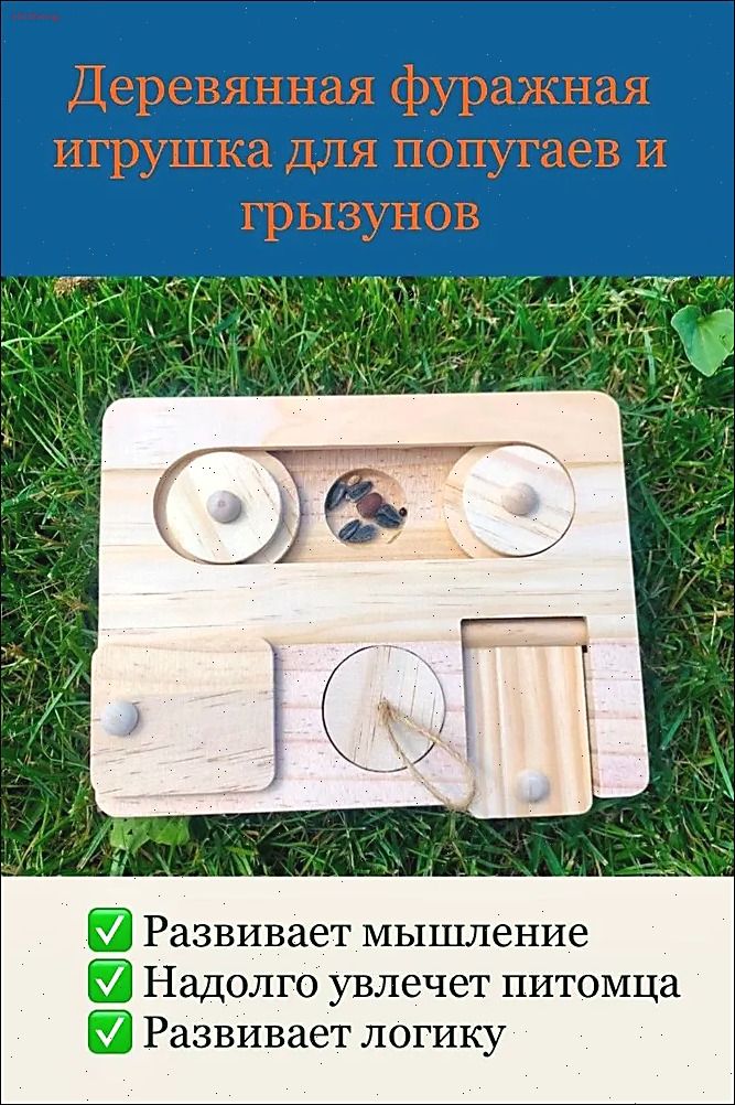 Фуражная игрушка для попугаев и грызунов