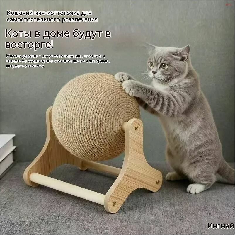 Когтеточка — фото 1